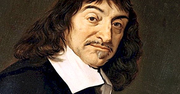 Descartes e la metafisica. La sesta meditazione: l’immortalità dell ...